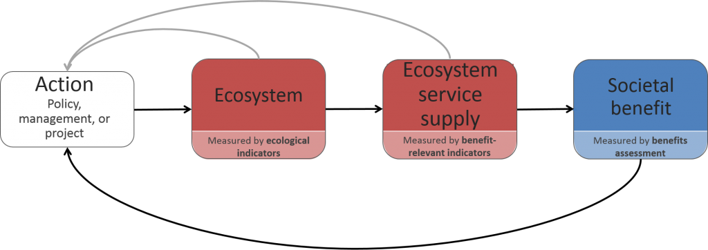 Framework Overview | National Ecosystem Services Partnership