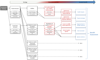 Building and Using Conceptual Diagrams | National Ecosystem Services ...